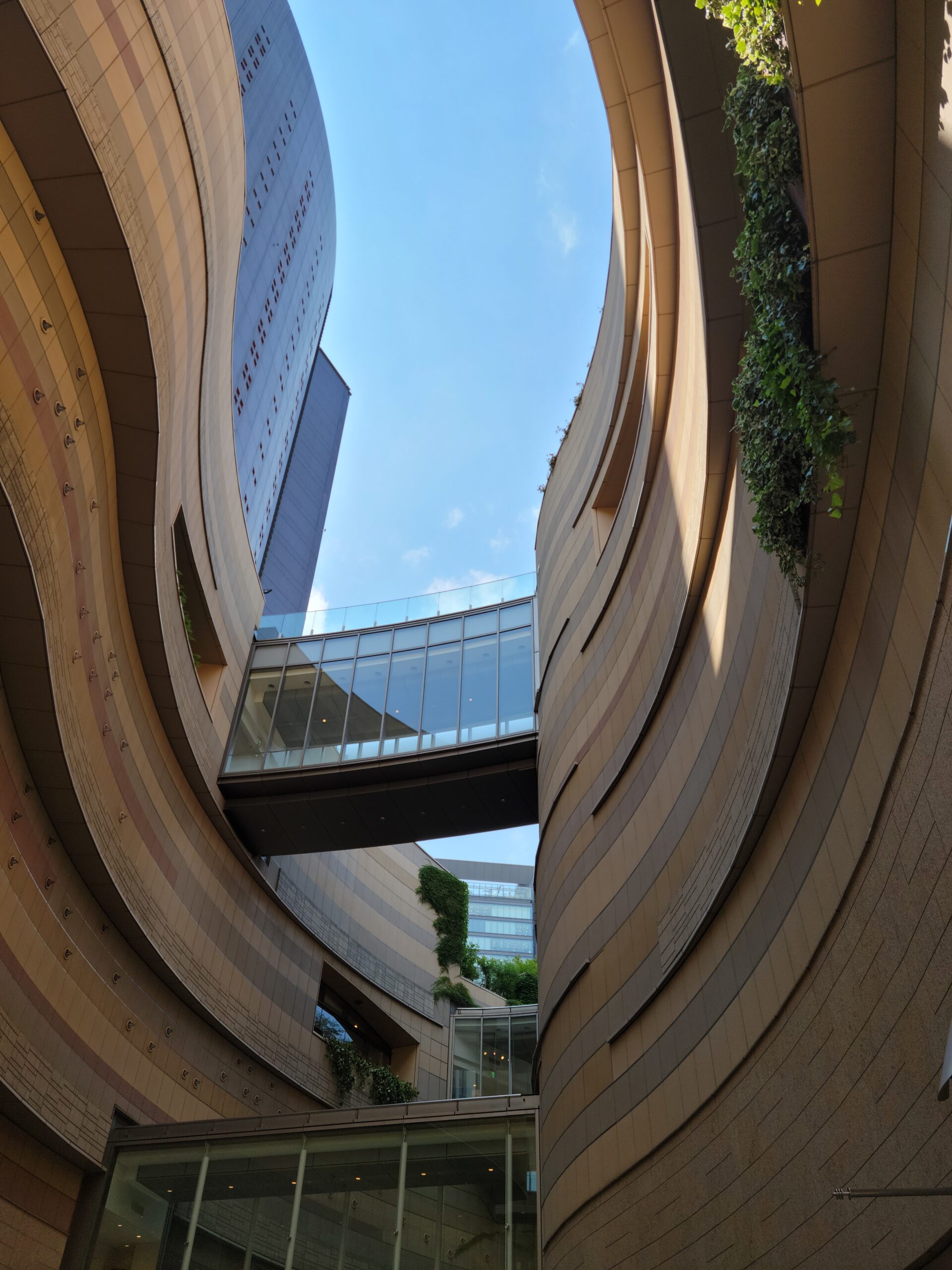 【ここまで綺麗】Galaxy S21 で撮った写真を大公開 | あなたにピッタリのコンデジ選び