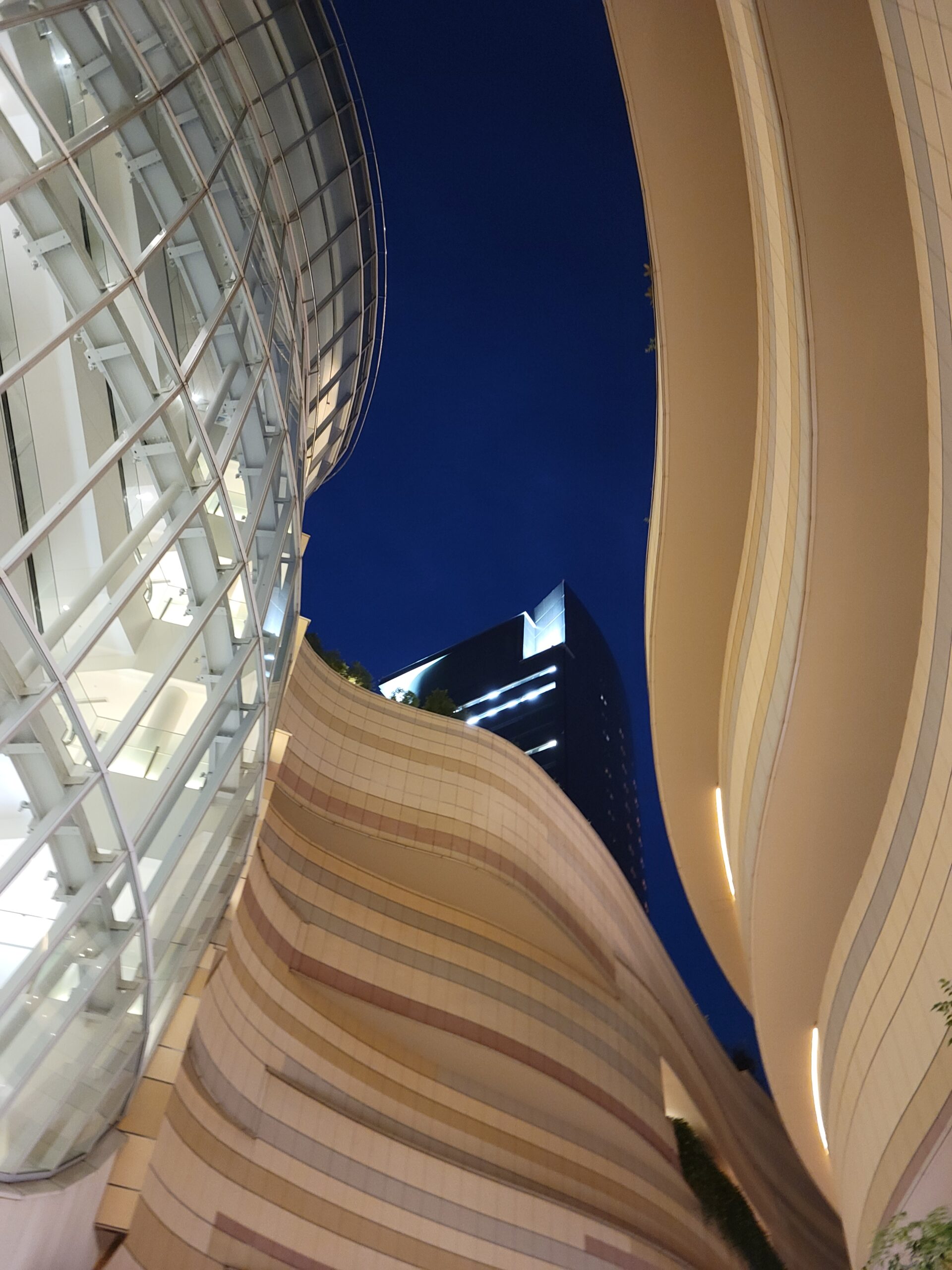 【ここまで綺麗】Galaxy S21 で撮った写真を大公開 | あなたにピッタリのコンデジ選び