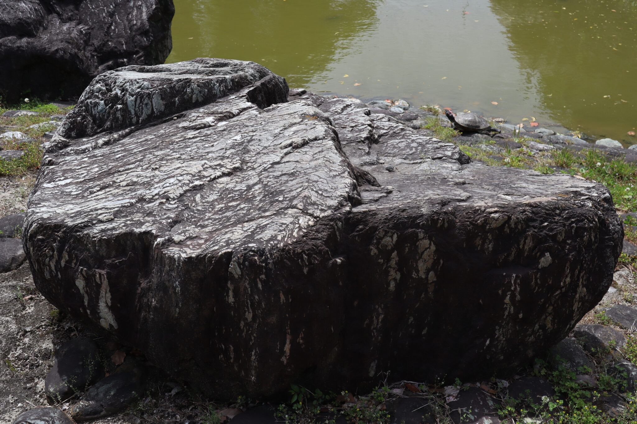 キャノン EOS M200実写レビュー | あなたにピッタリのコンデジ選び