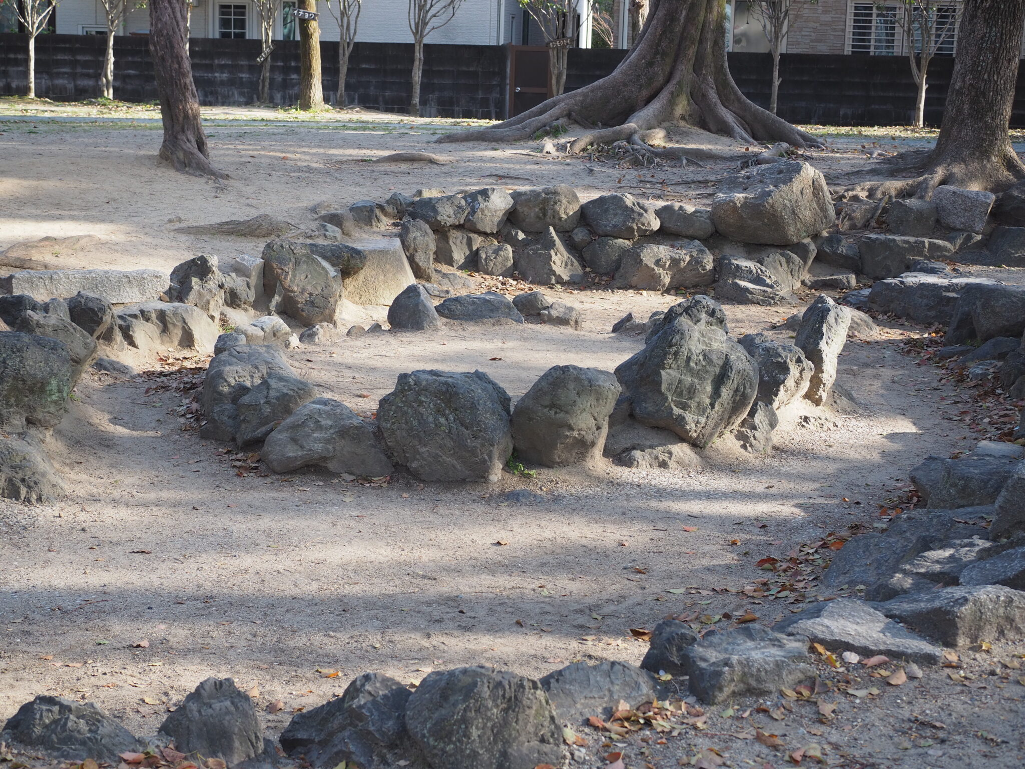 Olympus E-M10 Mark3 実写レビュー | あなたにピッタリのコンデジ選び